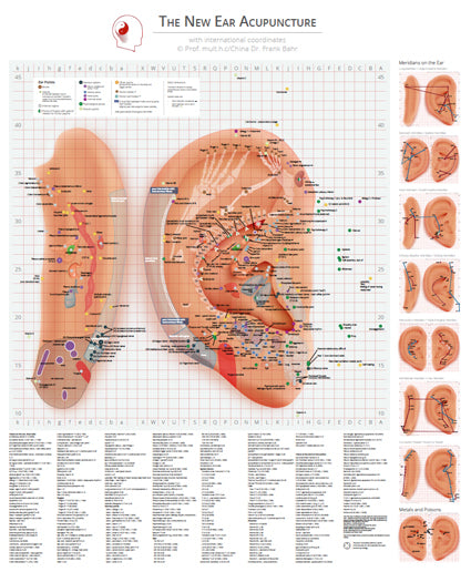 Ear Charts – Canadian Institute of Auricular Medicine