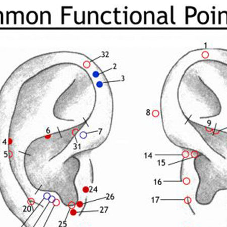 Ear Charts – Canadian Institute of Auricular Medicine