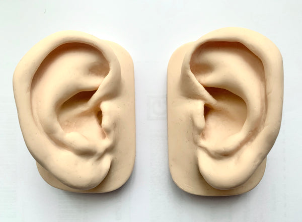 Rubber Ears – Canadian Institute of Auricular Medicine